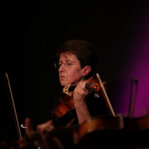 Viola d´arco – EMP